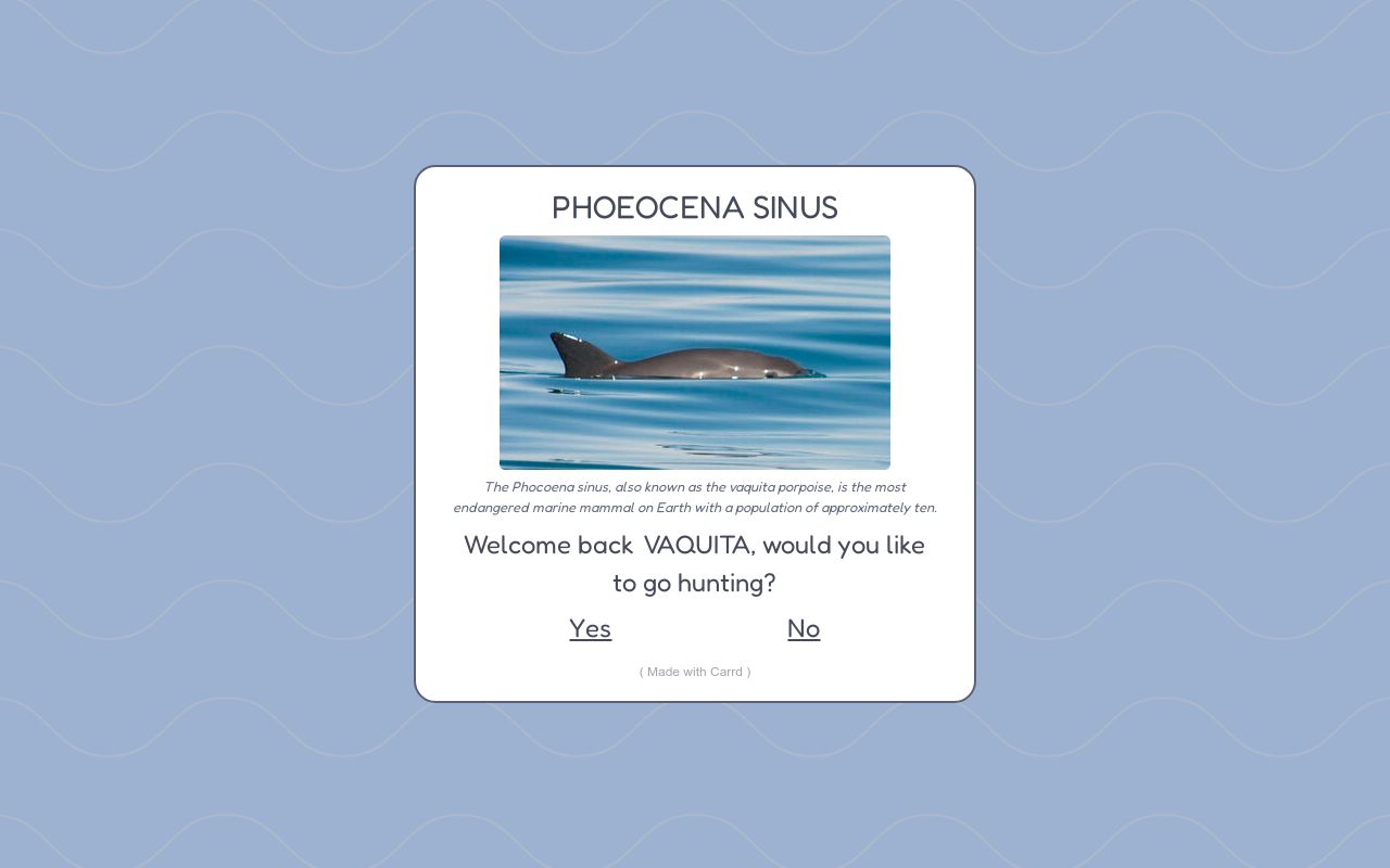 Phocoena Sinus